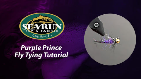Purple Prince Nymph Fly Tying Tutorial – Sea-Run Fly & Tackle